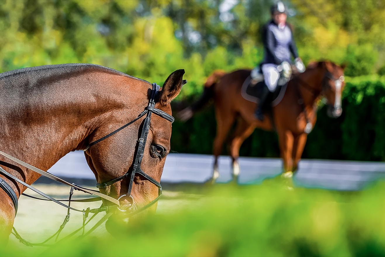 What brands need to know about equestrian marketing